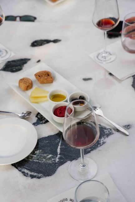 Santorini: Volcanic Wine Tour to 2 or 3 Wineries - Who Will Love This Tour?