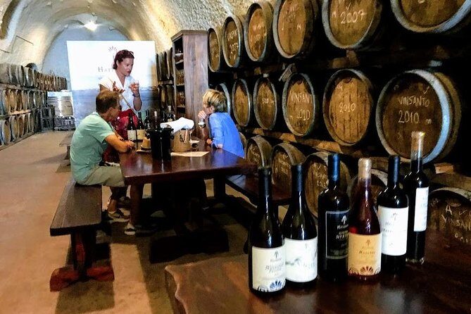 Santorini Wine and Food Experience with pick up included - Final Thoughts