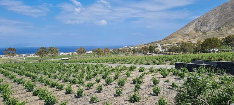 Santorini Wine & History Tour with 3 Expert Sommeliers - Who Will Love This Experience?
