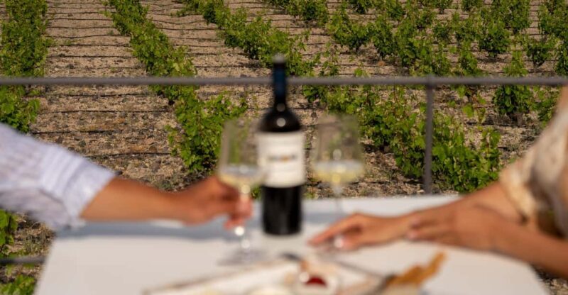 Santorini: Wine O' Clock - Wine Tasting Private Tour - Final Thoughts