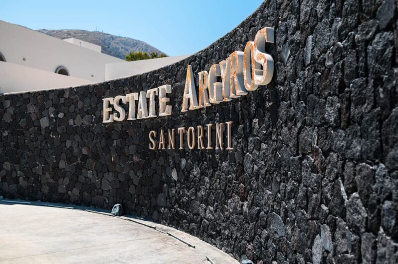 Santorini Wine Tasting and Vineyard Tour - Analyzing the Experience’s Value