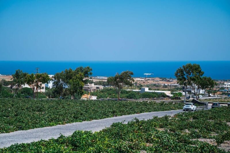 Santorini Wine Tasting and Vineyard Tour - Final Thoughts