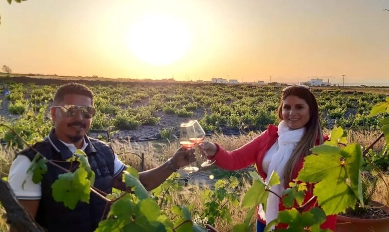 Santorini: Wine Tasting Tour - Is It Worth the Price?