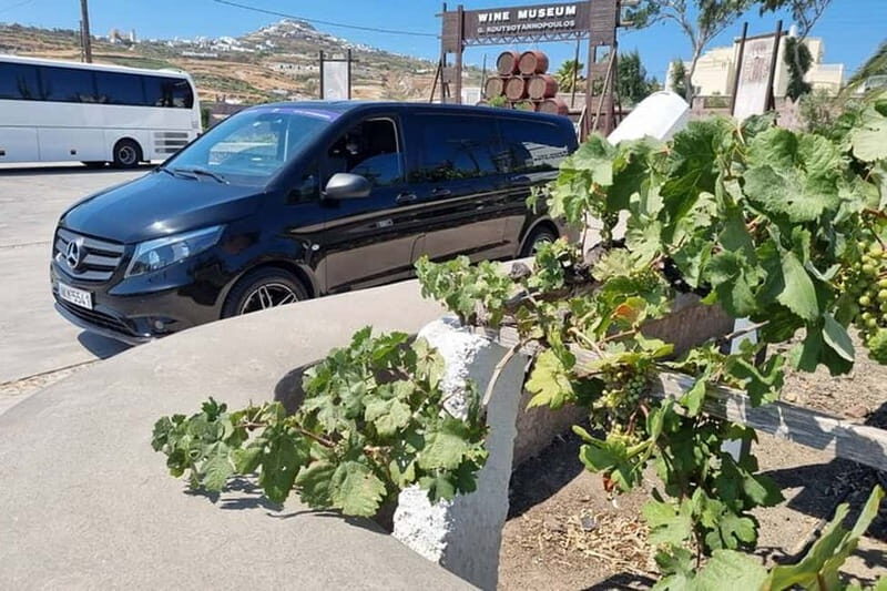 Santorini's "Wine Roads": Private Wine Tour With Tastings - Key Points