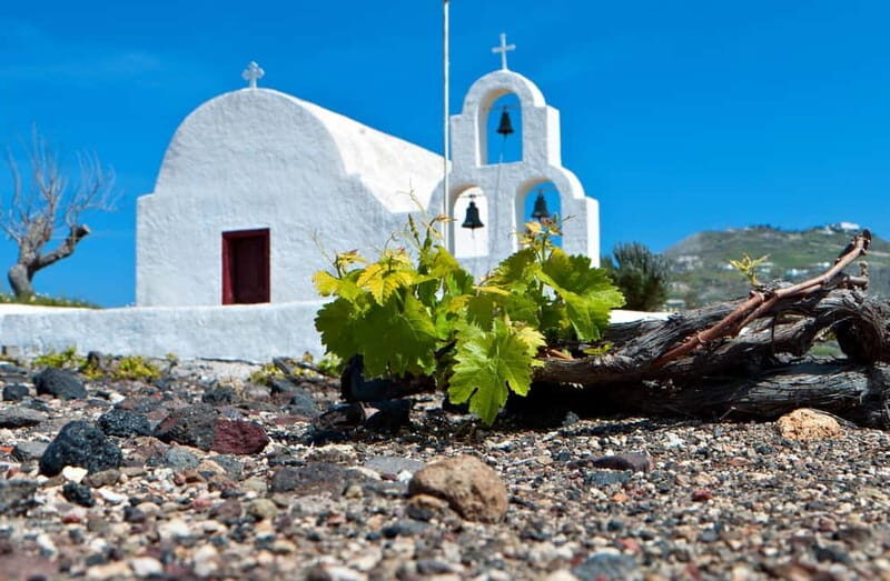 Santorini's "Wine Roads": Private Wine Tour With Tastings - Who Should Consider This Tour