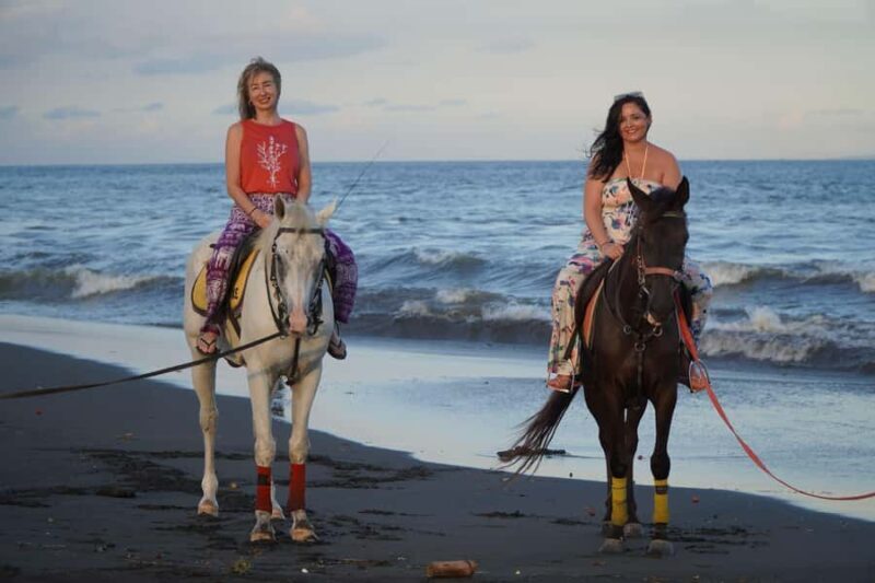 Sanur: Horse Riding at the Bali Beach 30 minute ride - The Experience: What to Expect on Your Horseback Ride in Sanur