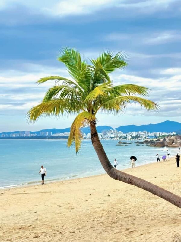 Sanya 2-Day Private Tour: Nanshan Park & Wuzhizhou Island - Final Thoughts