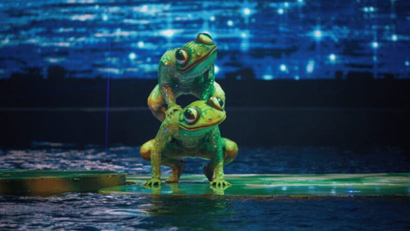 Sanya: Atlantis C Show Performance - An In-Depth Look at the Atlantis C Show at Sanya