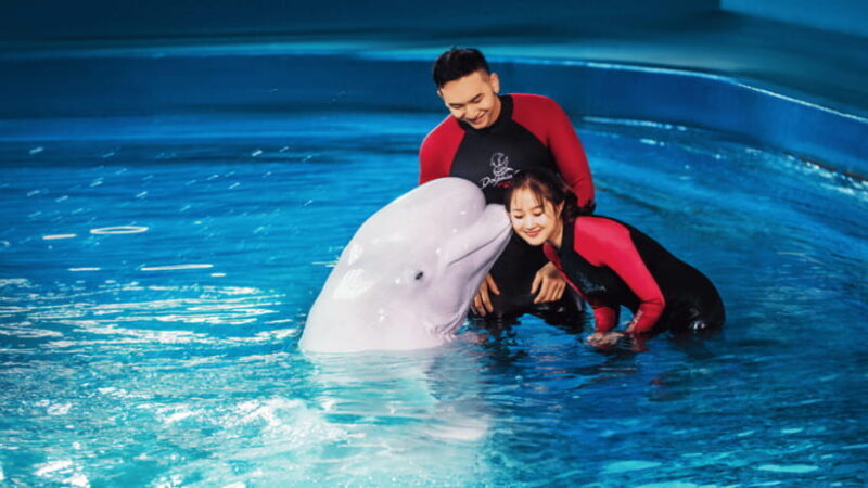 Sanya: Atlantis Lost Chambers Aquarium - Key Points