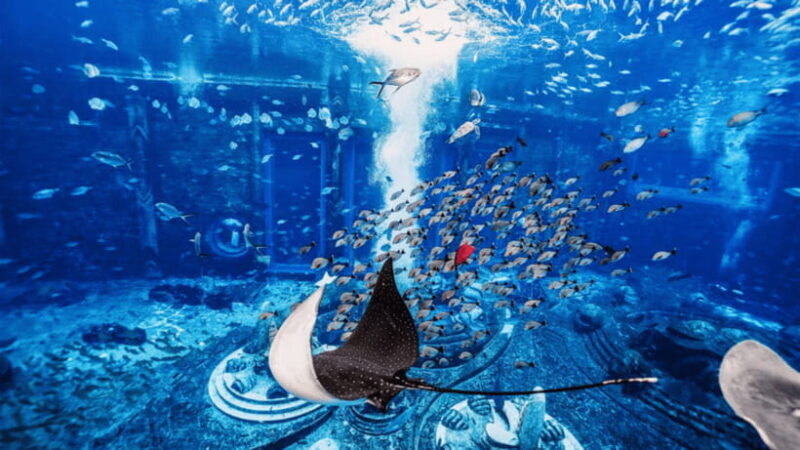 Sanya: Atlantis Lost Chambers Aquarium - Practical Tips & What to Expect
