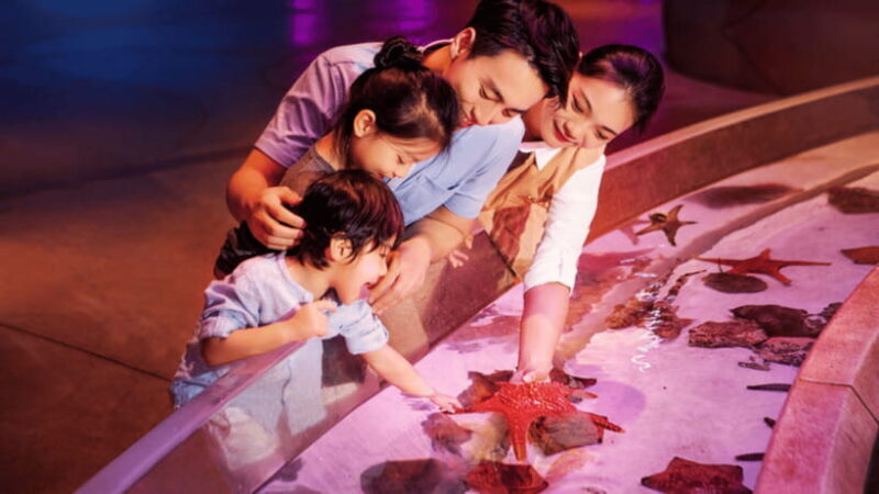 Sanya: Atlantis Lost Chambers Aquarium - The Value Proposition