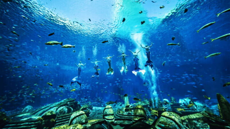 Sanya: Atlantis Lost Chambers Aquarium - Final Thoughts