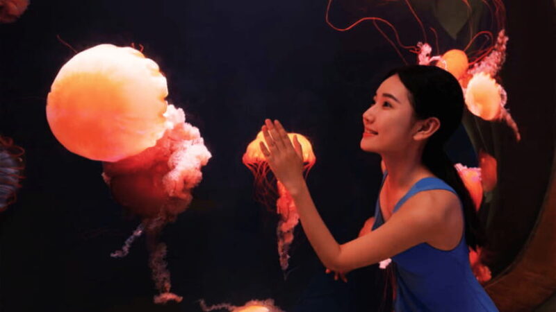 Sanya: Atlantis Lost Chambers Aquarium - FAQ