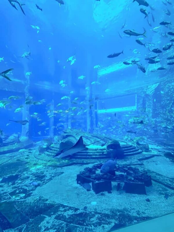 Sanya Haitang Bay Local Discovery Day Tour - Who Is This Tour Best For?