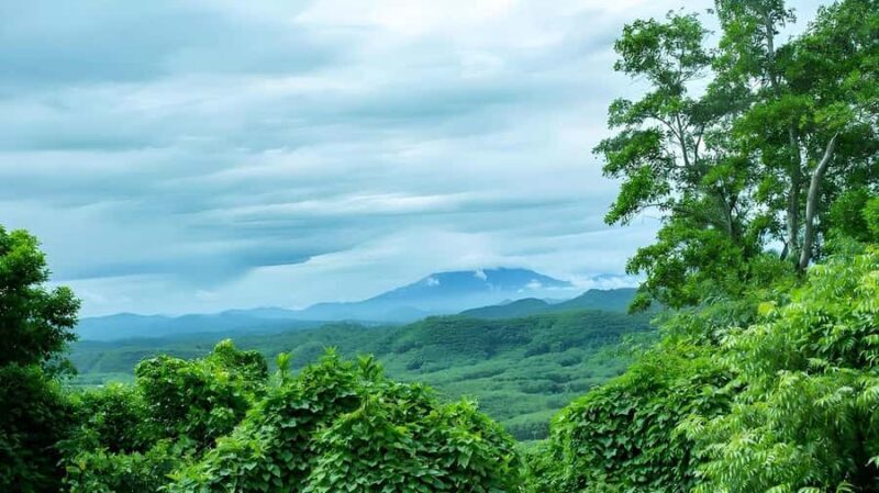 Sanya: Ocean Flower Island Ocean Park and Lotus Hill - Final Thoughts: Who Will Love This Tour?