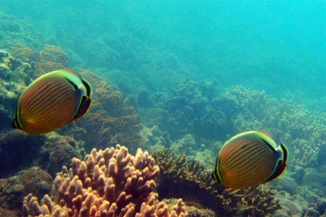 Sanya PADI Open Water Diving Package - What Is the Sanya PADI Open Water Diving Package?