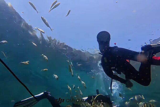 Sanya PADI Open Water Diving Package - Transportation and Timing