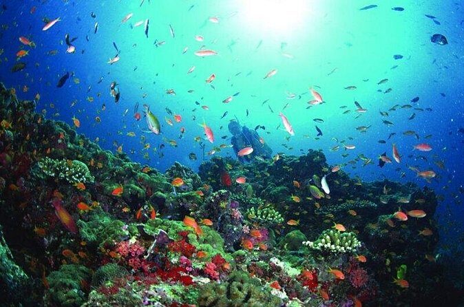 Sanya PADI Open Water Diving Package - Value for Money