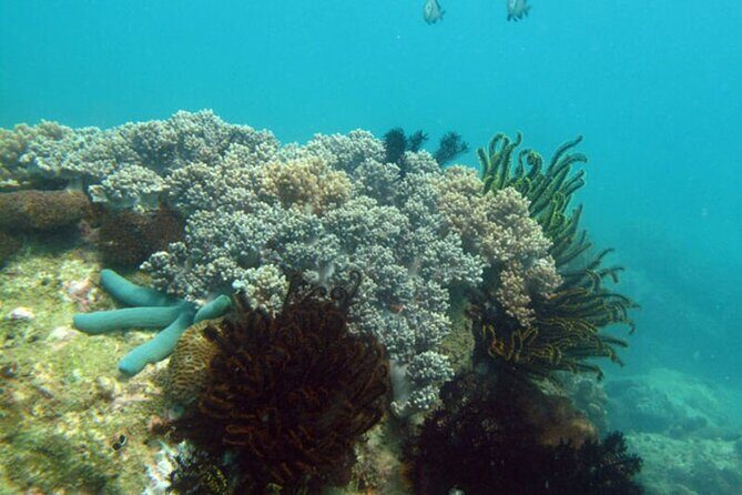 Sanya PADI Open Water Diving Package - Authentic Marine Encounters and Scenic Views