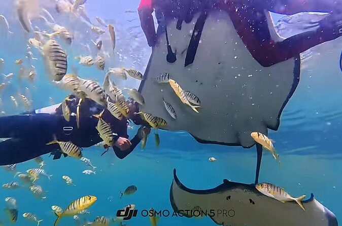 Sanya PADI Open Water Diving Package - Final Thoughts: Is This Tour Right for You?