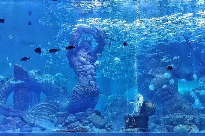 Sanya: The Lost World Aquarium and Yacht Cruise (Private Tour) - An In-Depth Look at the Tour Experience