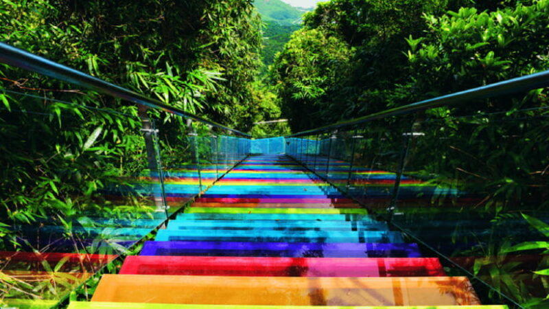 Sanya: Yalong Bay Tropical Forest Ticket and Tour Car - Key Points