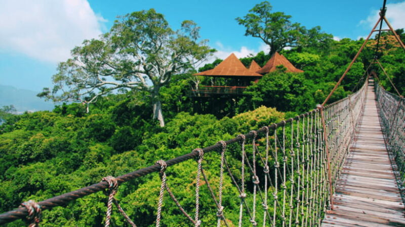 Sanya: Yalong Bay Tropical Forest Ticket and Tour Car - Exploring Yalong Bay Tropical Paradise Forest Park