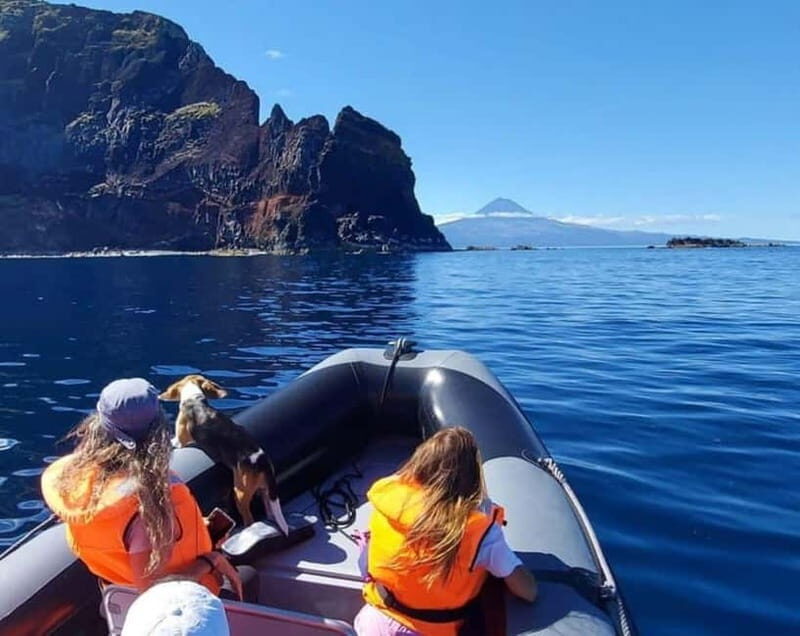 São Jorge: Boat trip with snorkeling (2 hours) - The Real Deal: What Travelers Say
