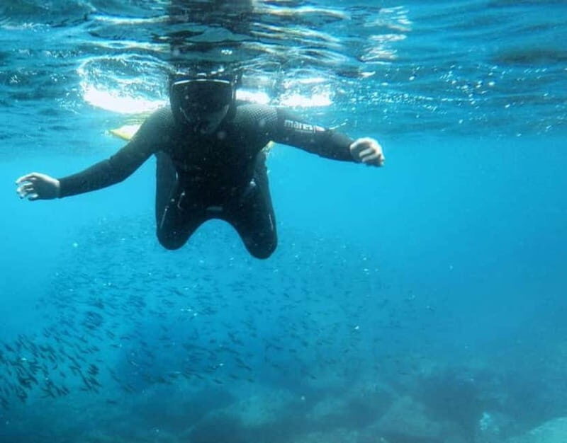 São Jorge: Boat trip with snorkeling (2 hours) - Is This Tour Right for You?