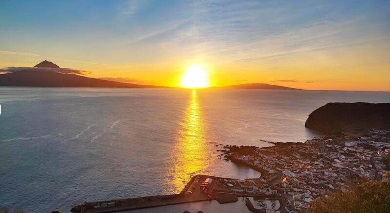São Jorge: Island, Forest Reserve & Fajãs Guided Tour - Introduction: A Well-Rounded Look at São Jorge