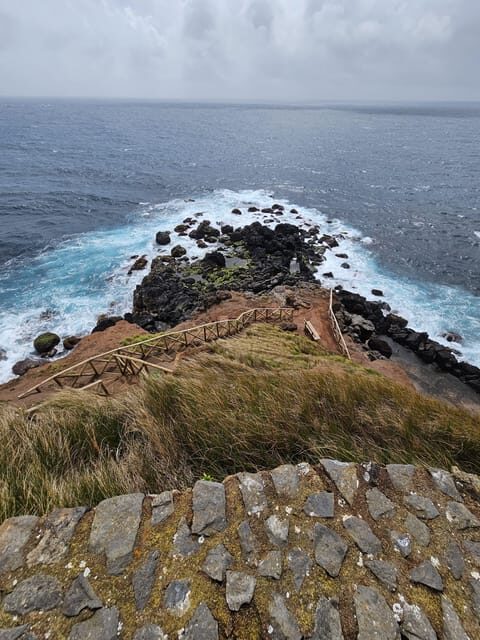 São Jorge: Island, Forest Reserve & Fajãs Guided Tour - Why This Tour Is Worth It