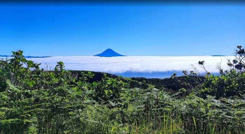 São Jorge: Island, Forest Reserve & Fajãs Guided Tour - Practical Details
