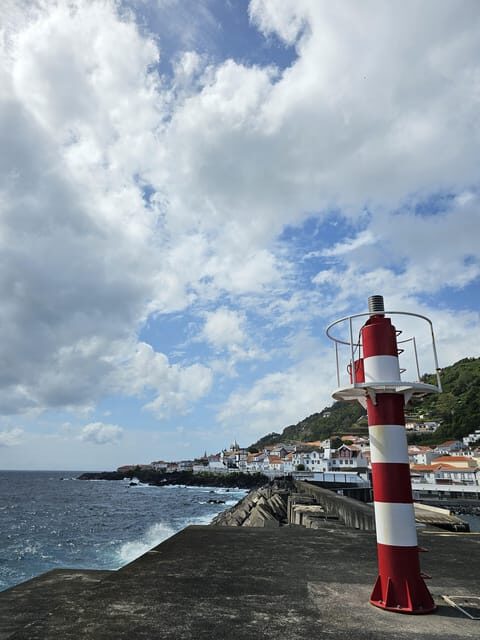 São Jorge: Island, Forest Reserve & Fajãs Guided Tour - Summary of First-Hand Experiences