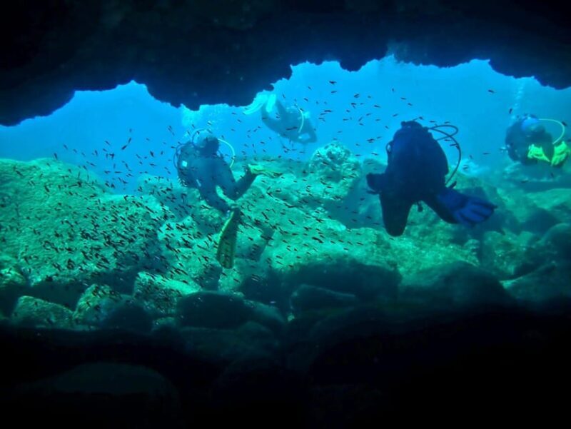 São Jorge: Scuba Diving - 2 Dives (Half Day) - Key Points