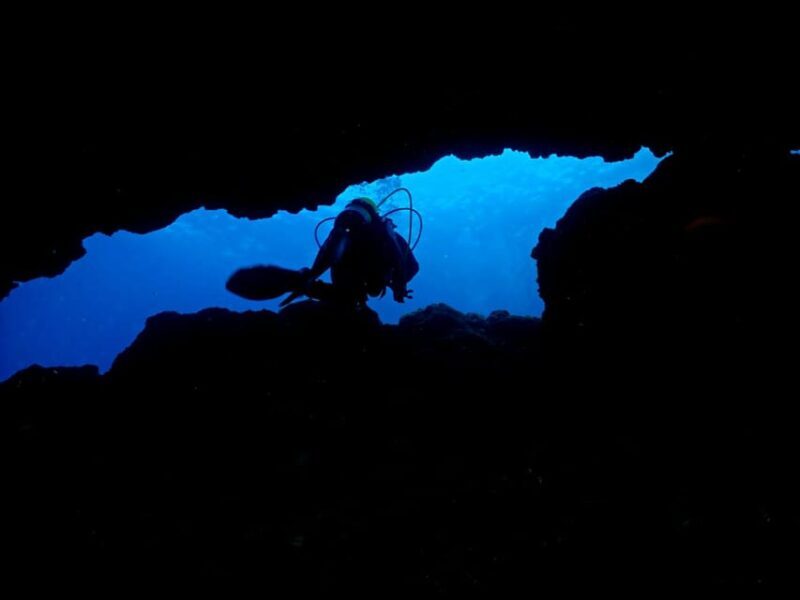 São Jorge: Scuba Diving - 2 Dives (Half Day) - An In-Depth Look at the São Jorge Diving Experience