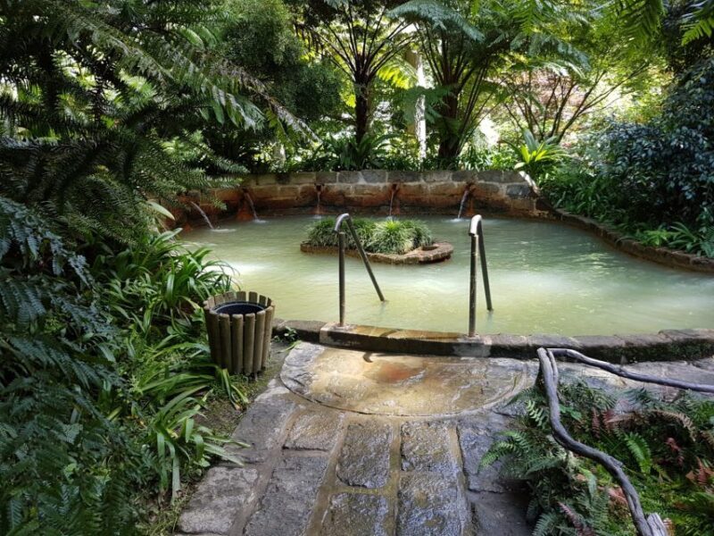 São Miguel Azores: Furnas Evening Thermal Baths w/tickets - The Transport and Group Size