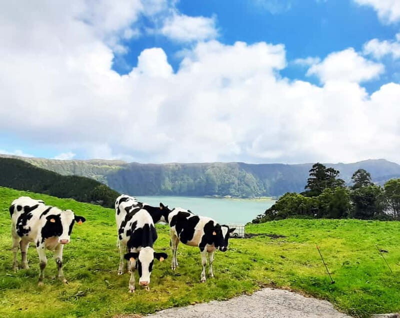 São Miguel Azores: Sete Cidades Guided tour with a local - Vista do Rei Lookout