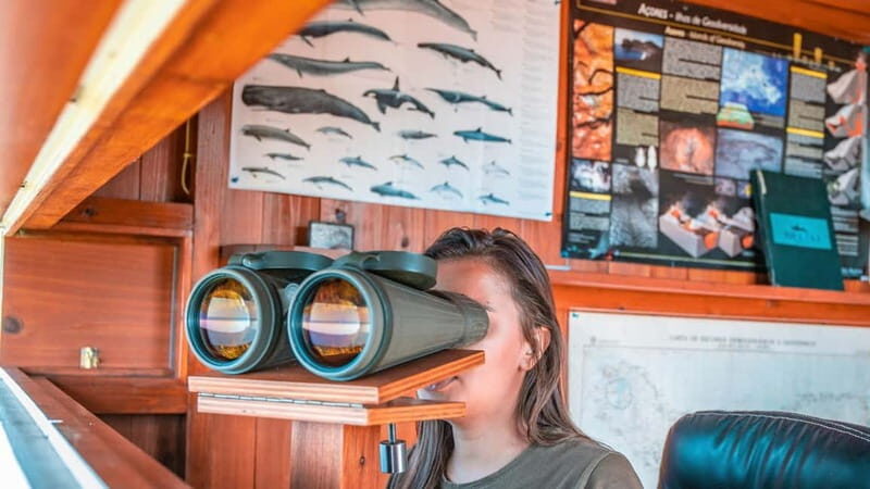 São Miguel: Azores Whaling Heritage Tour - A Practical Look at the Tour Experience