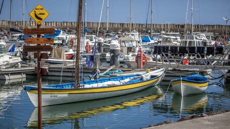 São Miguel: Azores Whaling Heritage Tour - Analyzing the Value