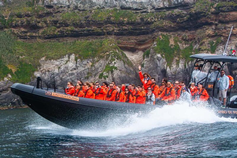 Sao Miguel: Boat Tour of the Wild & Hidden North Coast - The Itinerary: A Scenic Cruise Along São Miguel’s North Shore