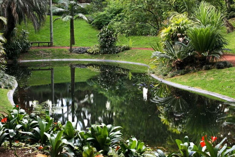 São Miguel: Botanical Gardens and Cave Tour - The Experience of Others