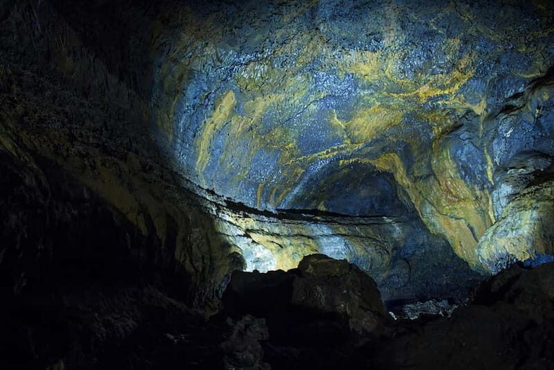 São Miguel: Botanical Gardens and Cave Tour - Who Will Love This Tour?