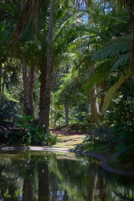 São Miguel: Botanical Gardens and Cave Tour - FAQs