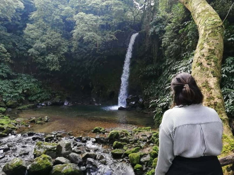 São Miguel: Enchanted Secret Waterfalls Hike, Dive, and Dine - Discovering the Enchanted Waterfalls of São Miguel: A Guide to the Waterfalls, Dives, and Flavors