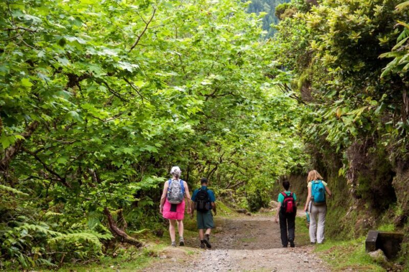 São Miguel: Full-Day Hike to Lagoa do Fogo - Key Points