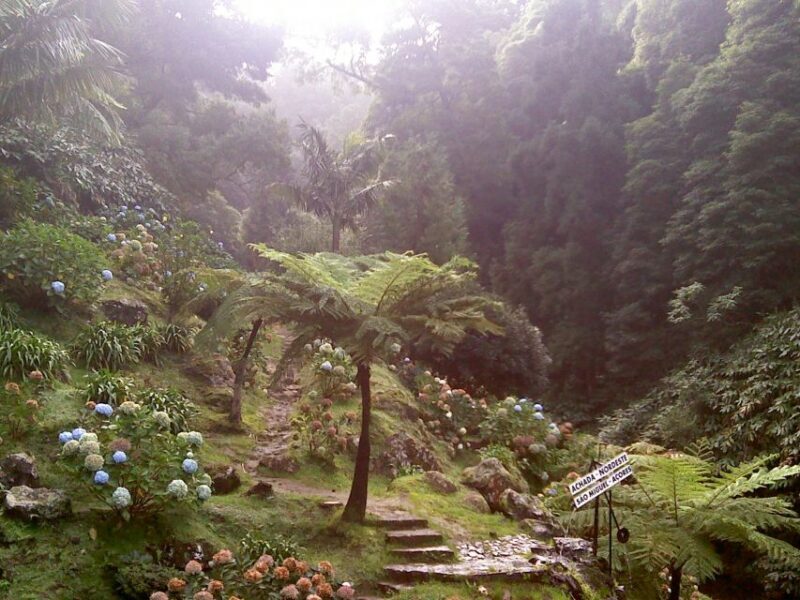 São Miguel: Full-Day Nordeste & Waterfall Tour with Lunch - Key Points