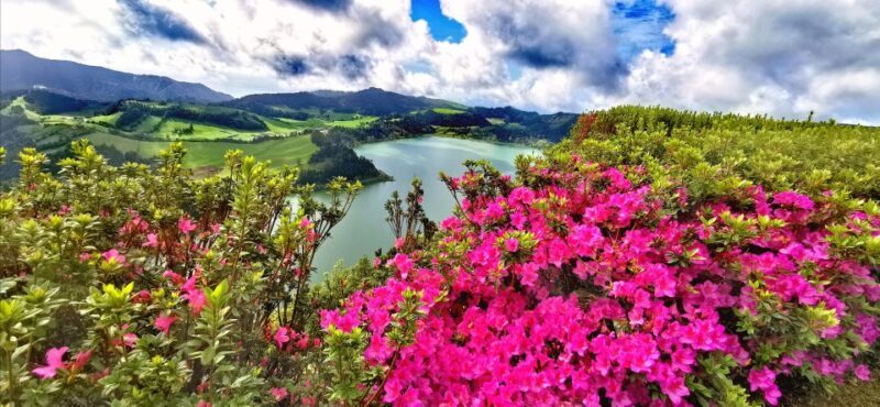 São Miguel: Furnas and Nordeste Full-Day Tour with Lunch - Key Points