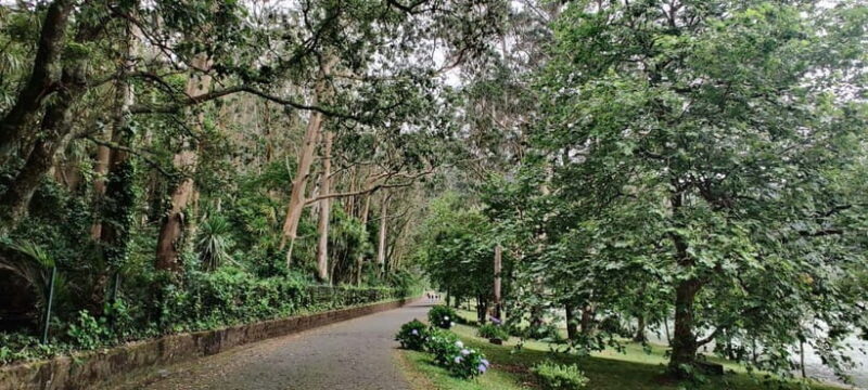 São Miguel: Furnas Valley Tour with Thermal Bath Option - A Full Breakdown of the Experience