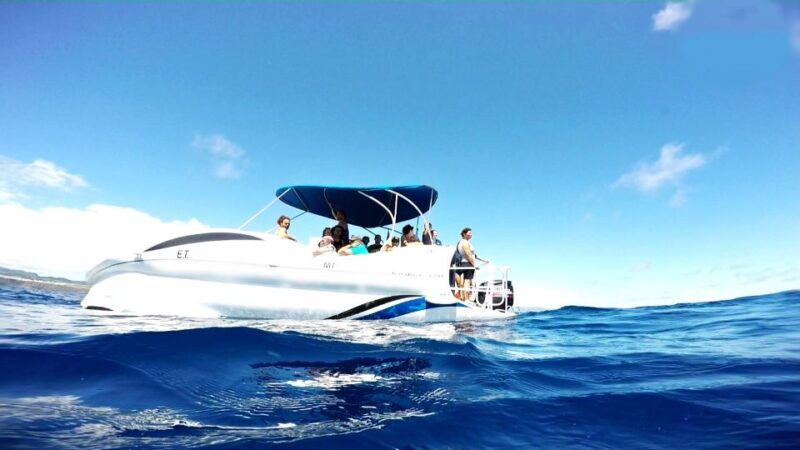 São Miguel: Glass Bottom Boat Tour with Snorkeling - Final Thoughts: Is This Tour for You?