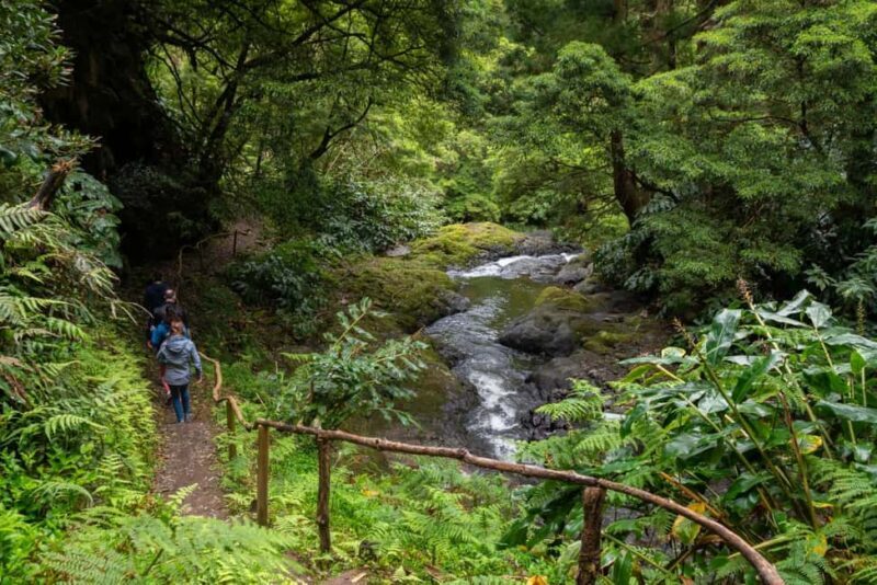 São Miguel Island: Chasing Waterfalls in the Azores Tour - A Practical Guide to the Waterfalls Tour
